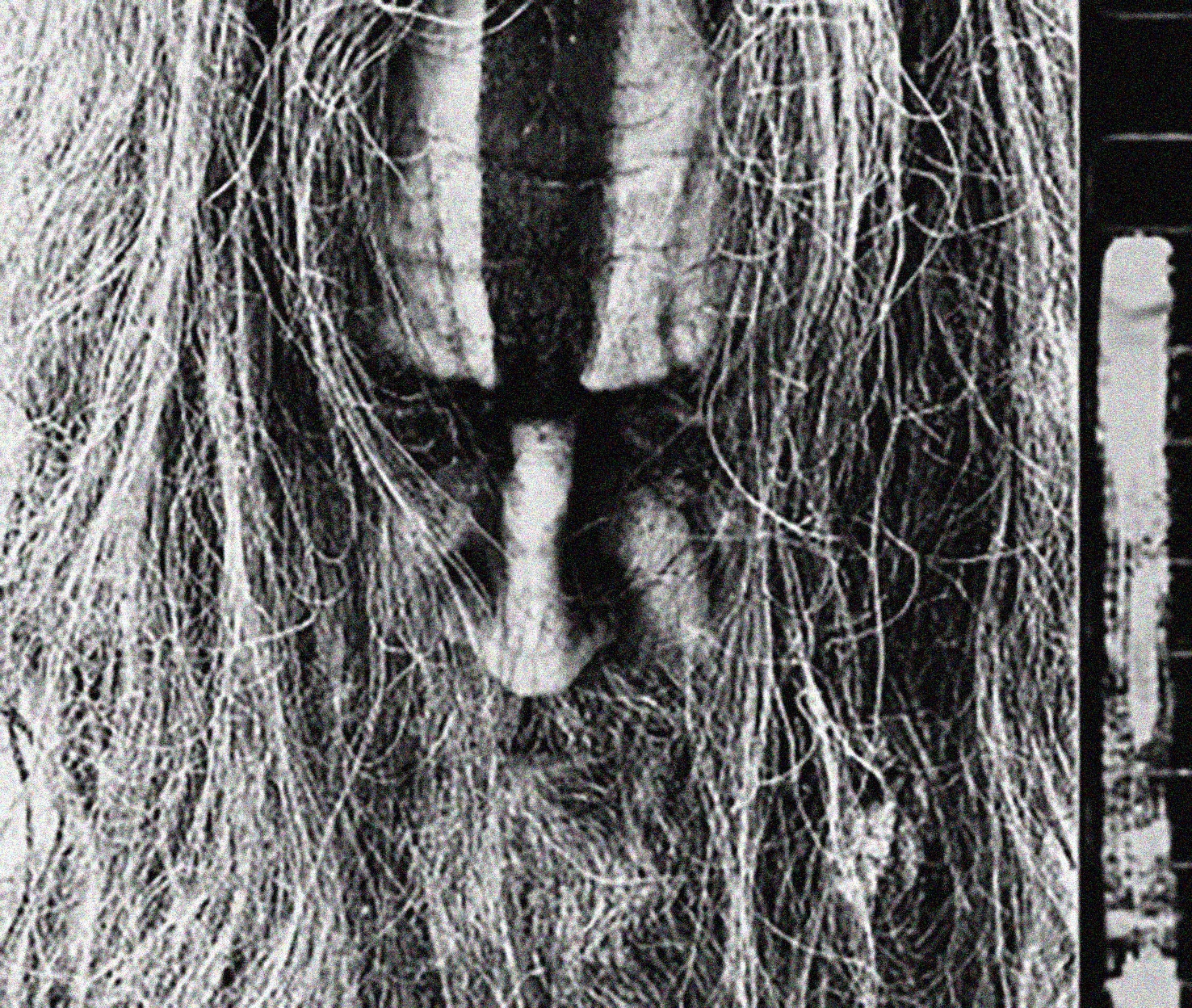 ROB ZOMBIE: The Great Satan - On Your Markus